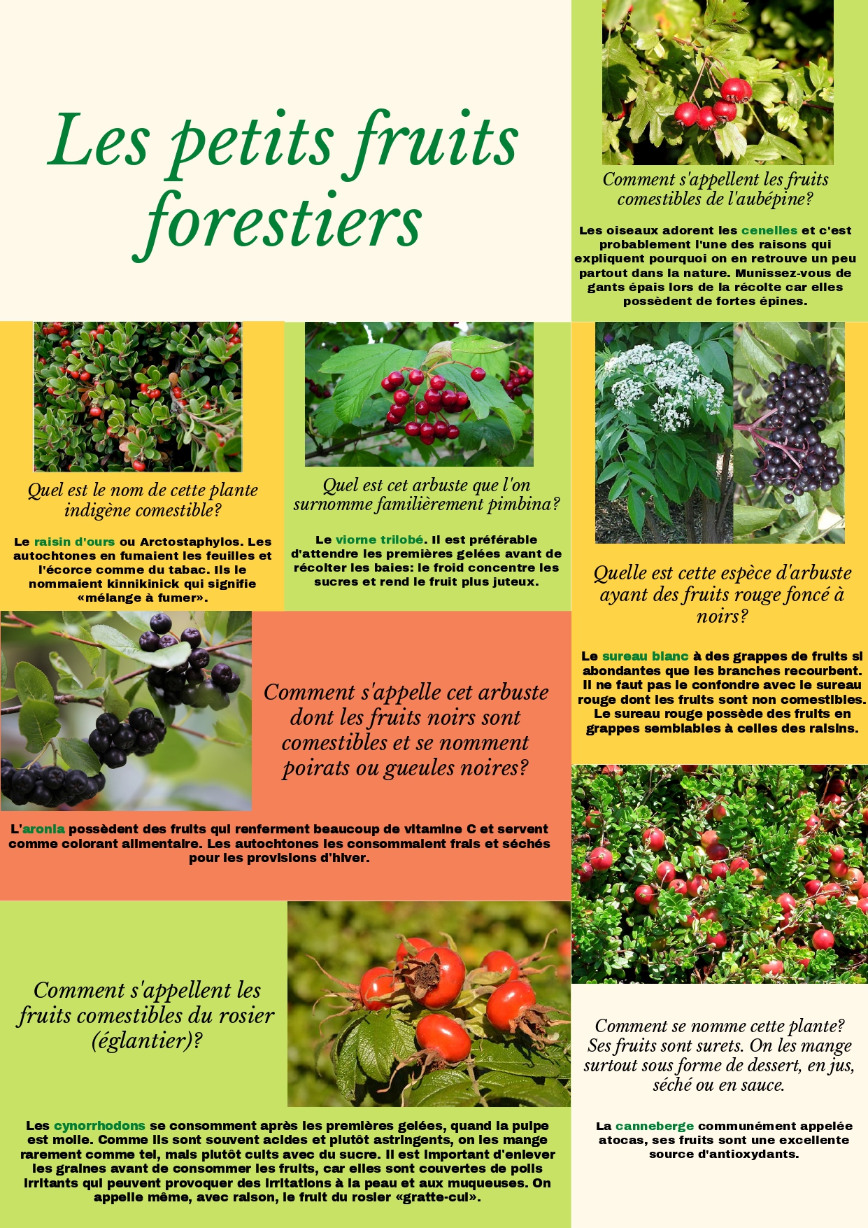 Fiche – Les petits fruits forestiers - Association forestière de la ...